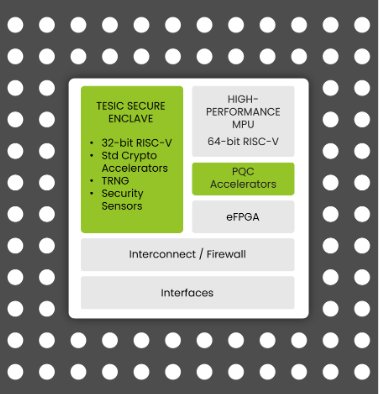 Tiempo Secure's Unique IP Expertise Required to Secure First Post ...